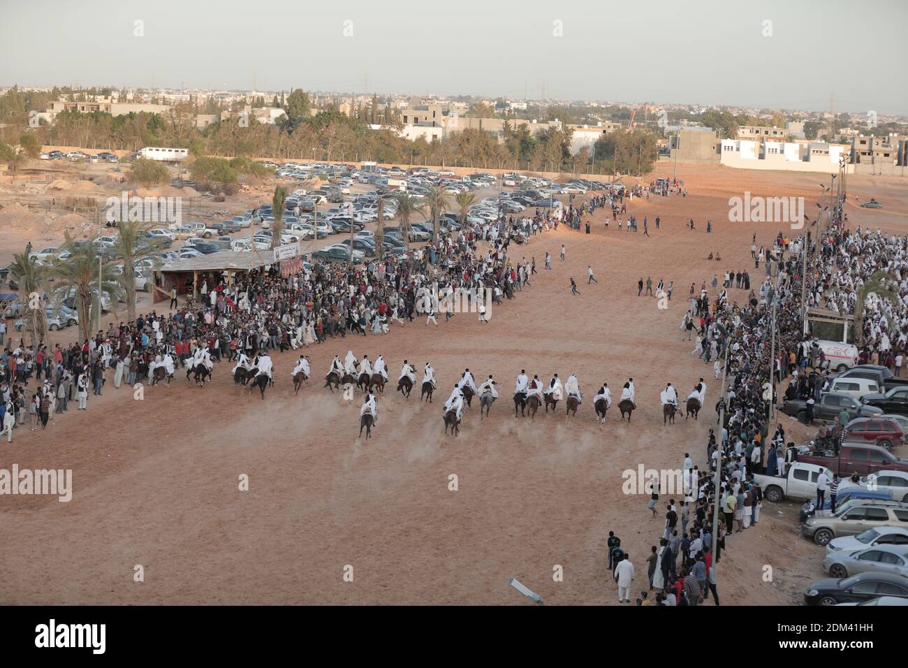 Libya horses hi-res stock photography and images - Alamy