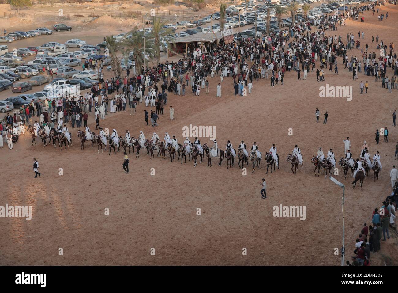 Libya horses hi-res stock photography and images - Alamy