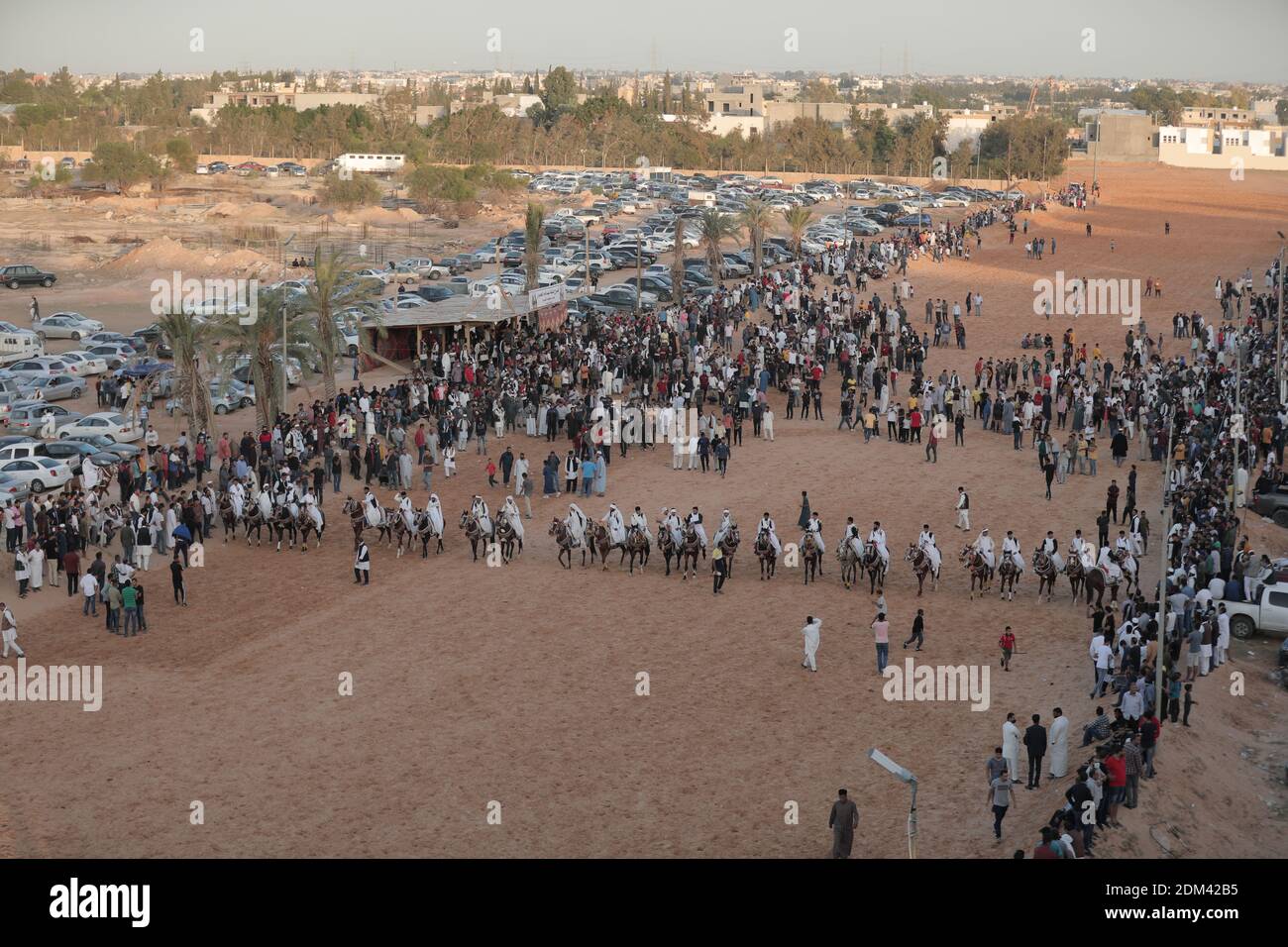 Libya horses hi-res stock photography and images - Alamy