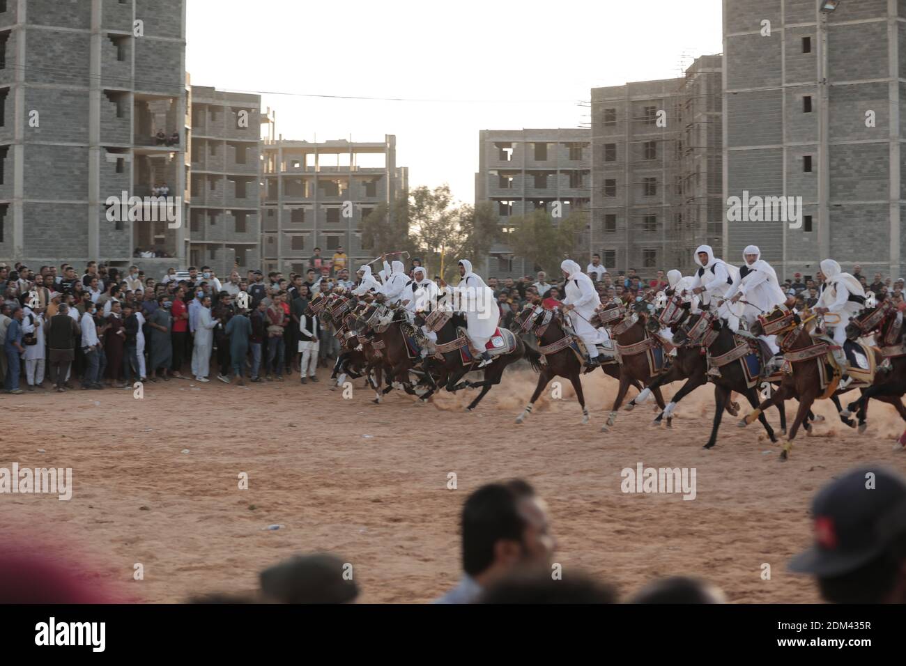 Libya horses hi-res stock photography and images - Alamy