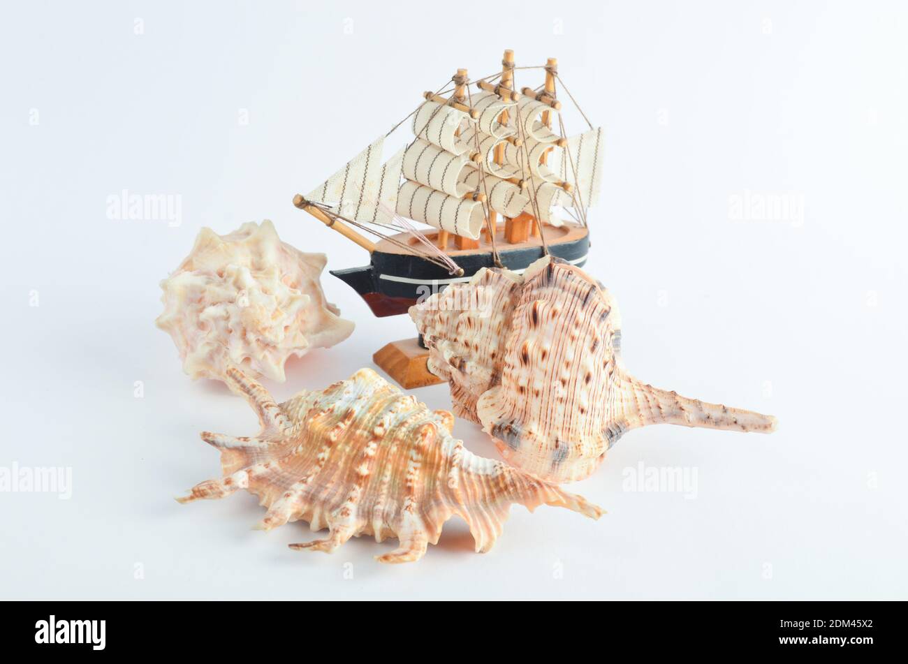 Wooden decorative boat and seashells on a white background. Marine ...