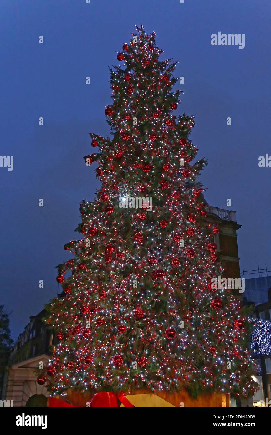 Big christmas tree in hi-res stock photography and images - Alamy