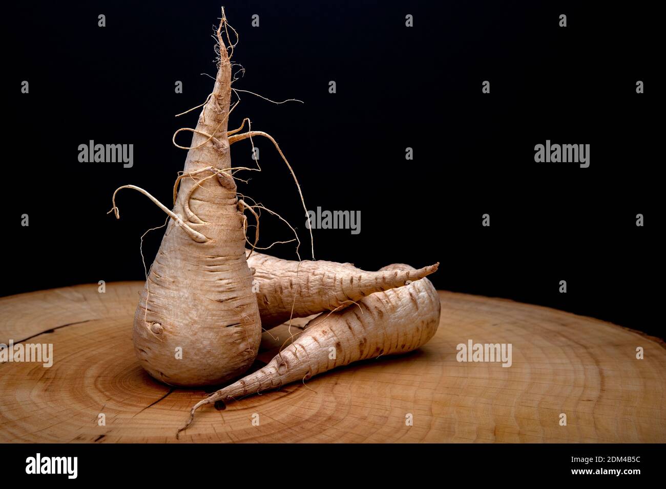 A trio of parsnips, set upon a wooden board, showing them to be a root ...