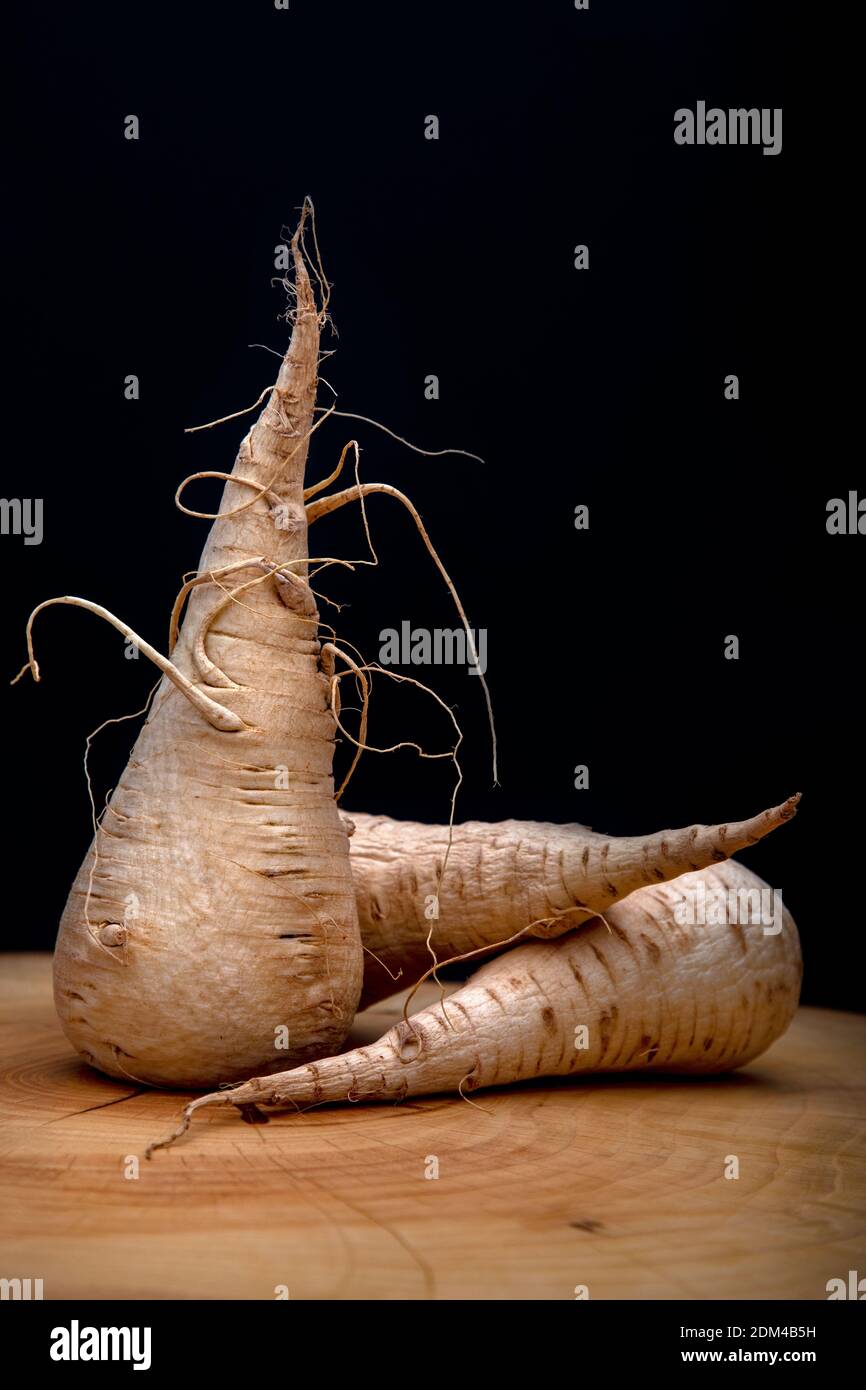 Plant parsnips hi-res stock photography and images - Alamy