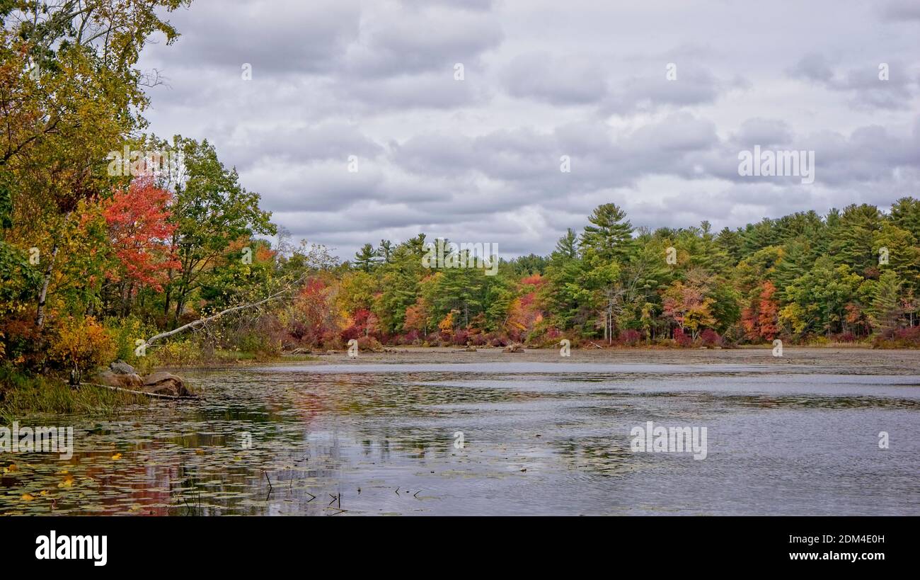 Stean's Pond in Harold Parker State Forest, Andover Massachusetts Stock ...