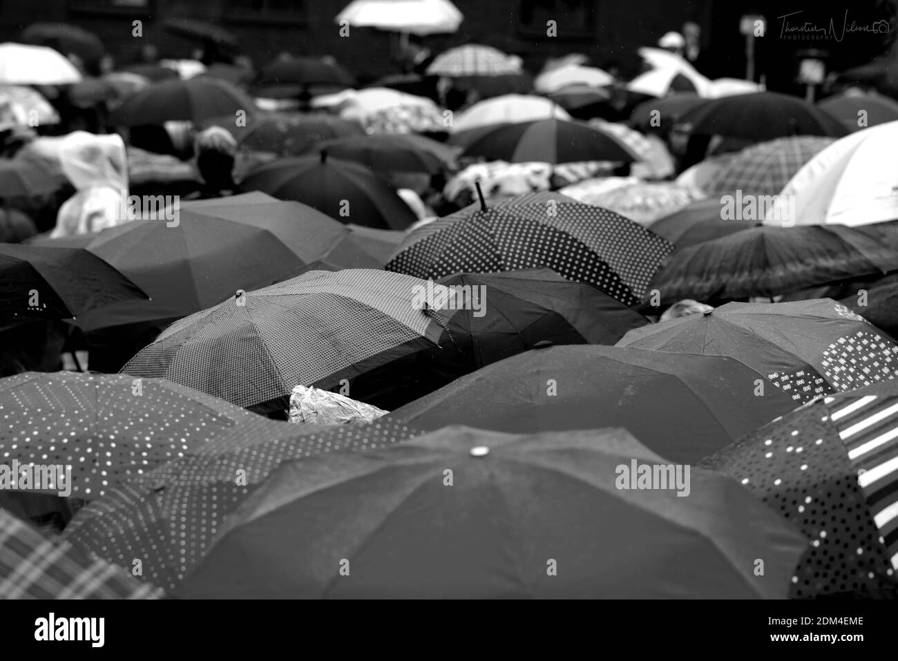 Large group of umbrellas Black and White Stock Photos & Images - Alamy