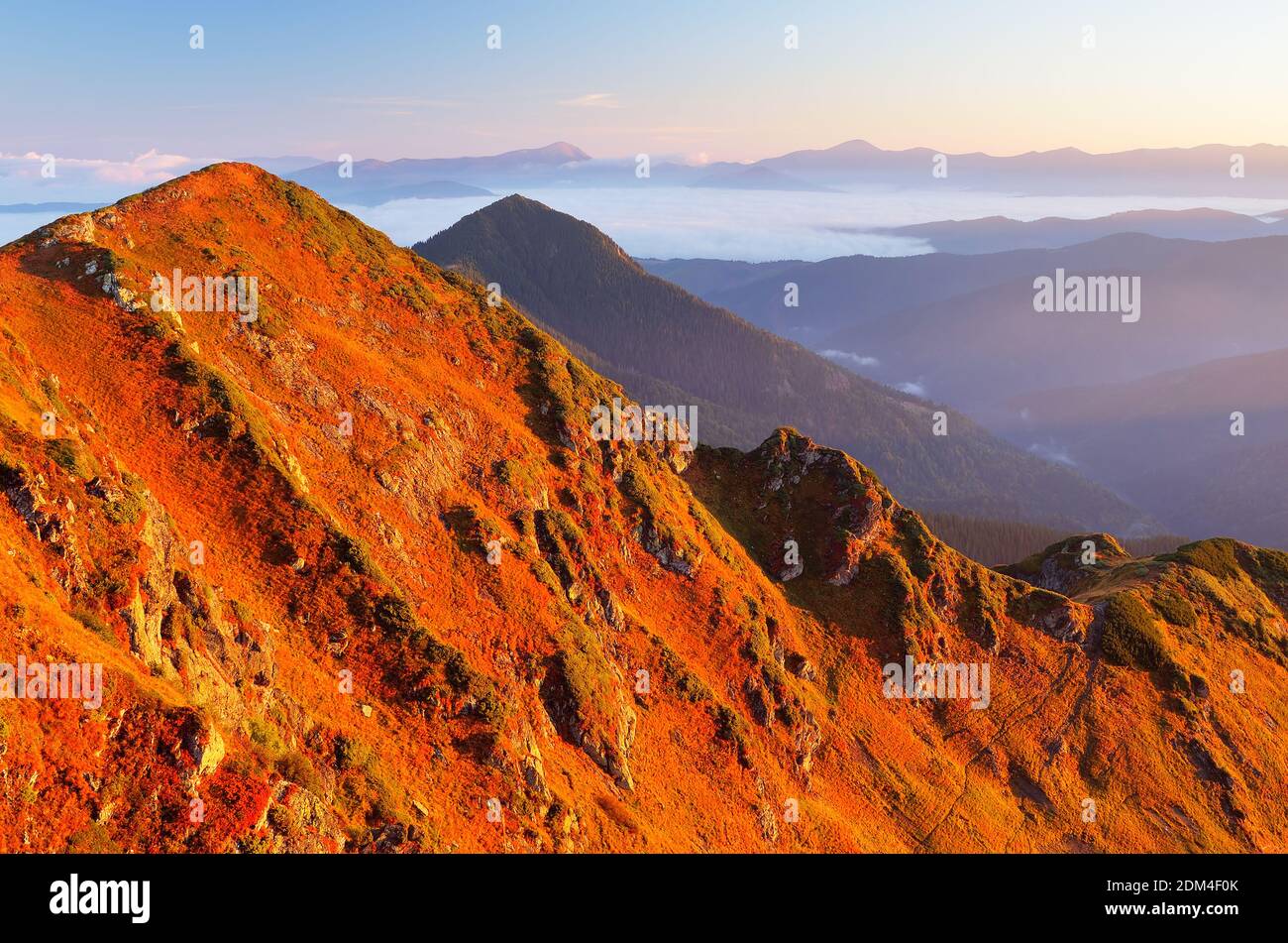Red grass hi-res stock photography and images - Alamy