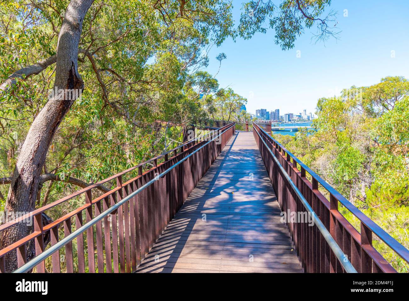 Federation Walkway at Kings park and botanic garden in Perth, Australia ...
