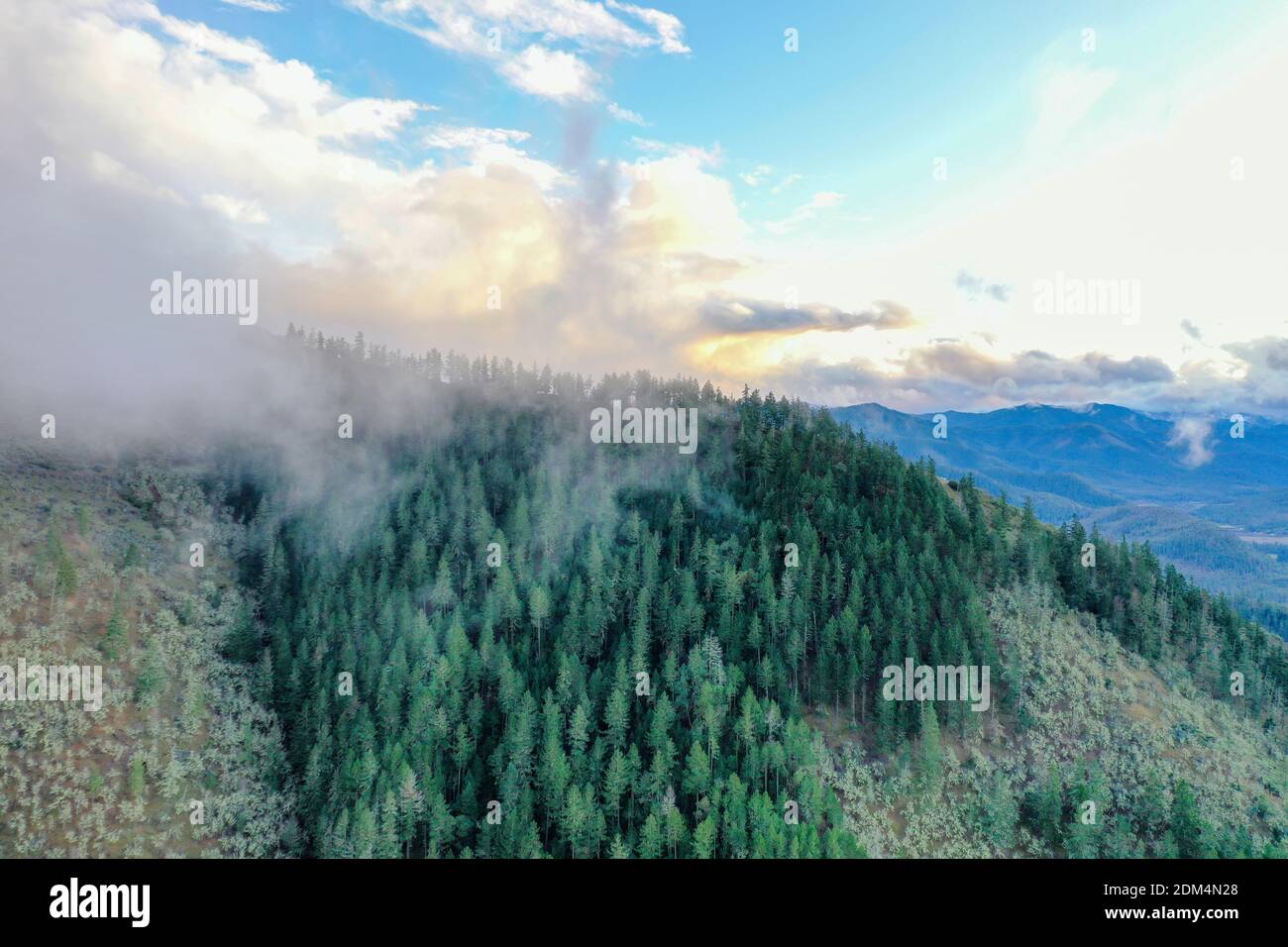 Beautiful and peaceful forest on mountain under slightly cloudy sky ...