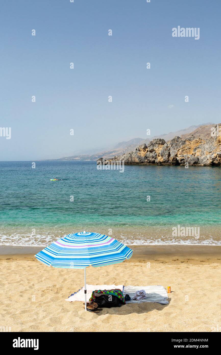 Paralia skinaria hi-res stock photography and images - Alamy