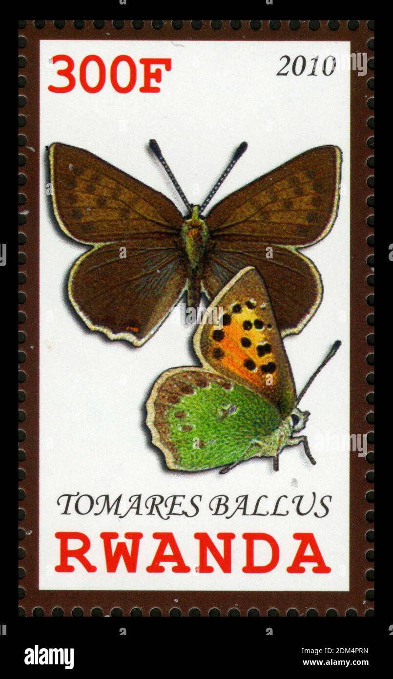 Insects in rwanda hi-res stock photography and images - Alamy