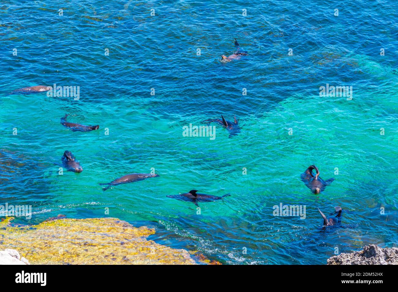 Rottnest Island Cathedral Rocks High Resolution Stock Photography and ...