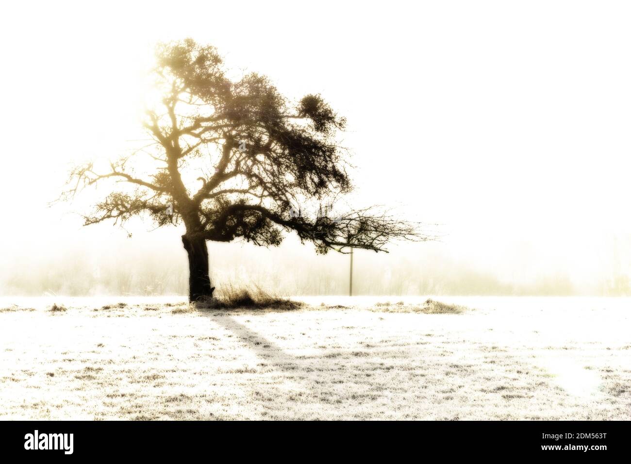 Overexposed background hi-res stock photography and images - Alamy