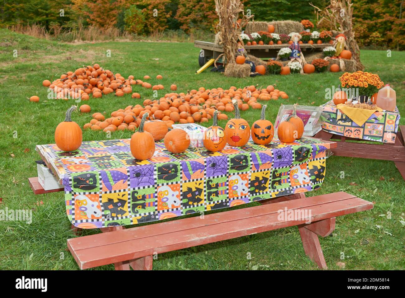 tables of pumpkin characters Stock Photo - Alamy