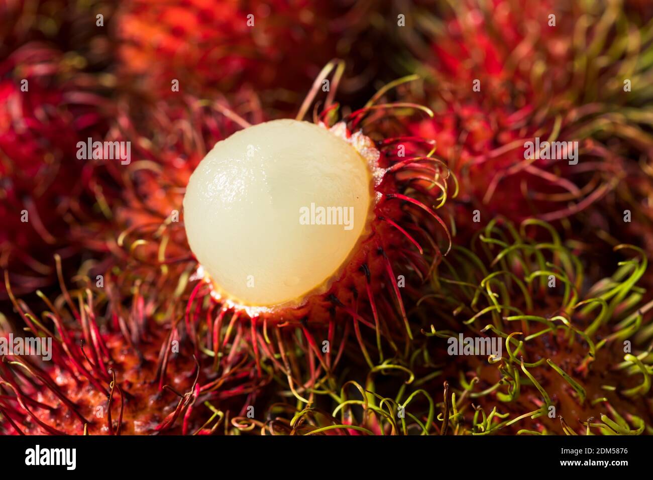 Raw Red Organic Rambutan Fruit Ready to Eat Stock Photo - Alamy