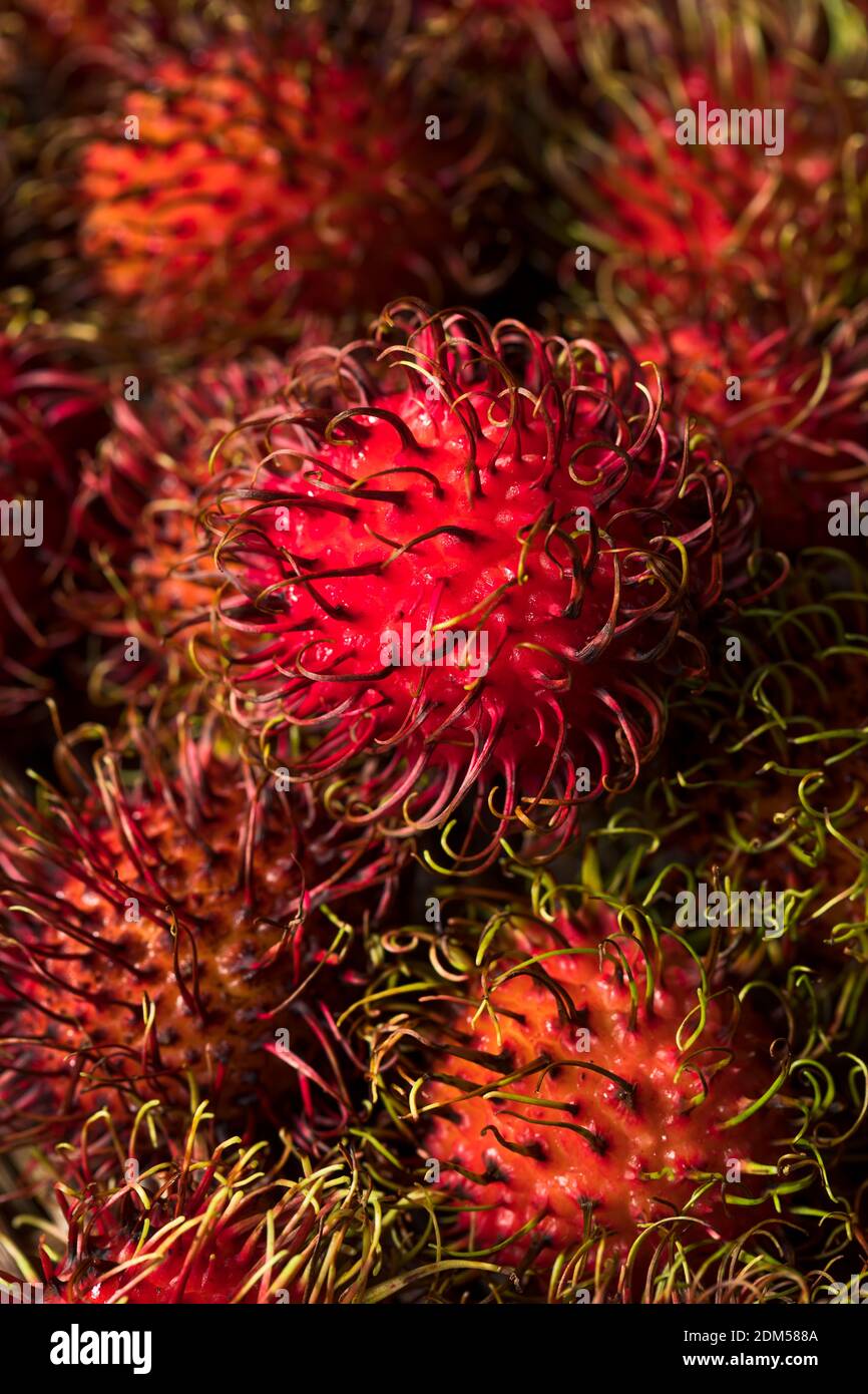 Raw Red Organic Rambutan Fruit Ready to Eat Stock Photo - Alamy