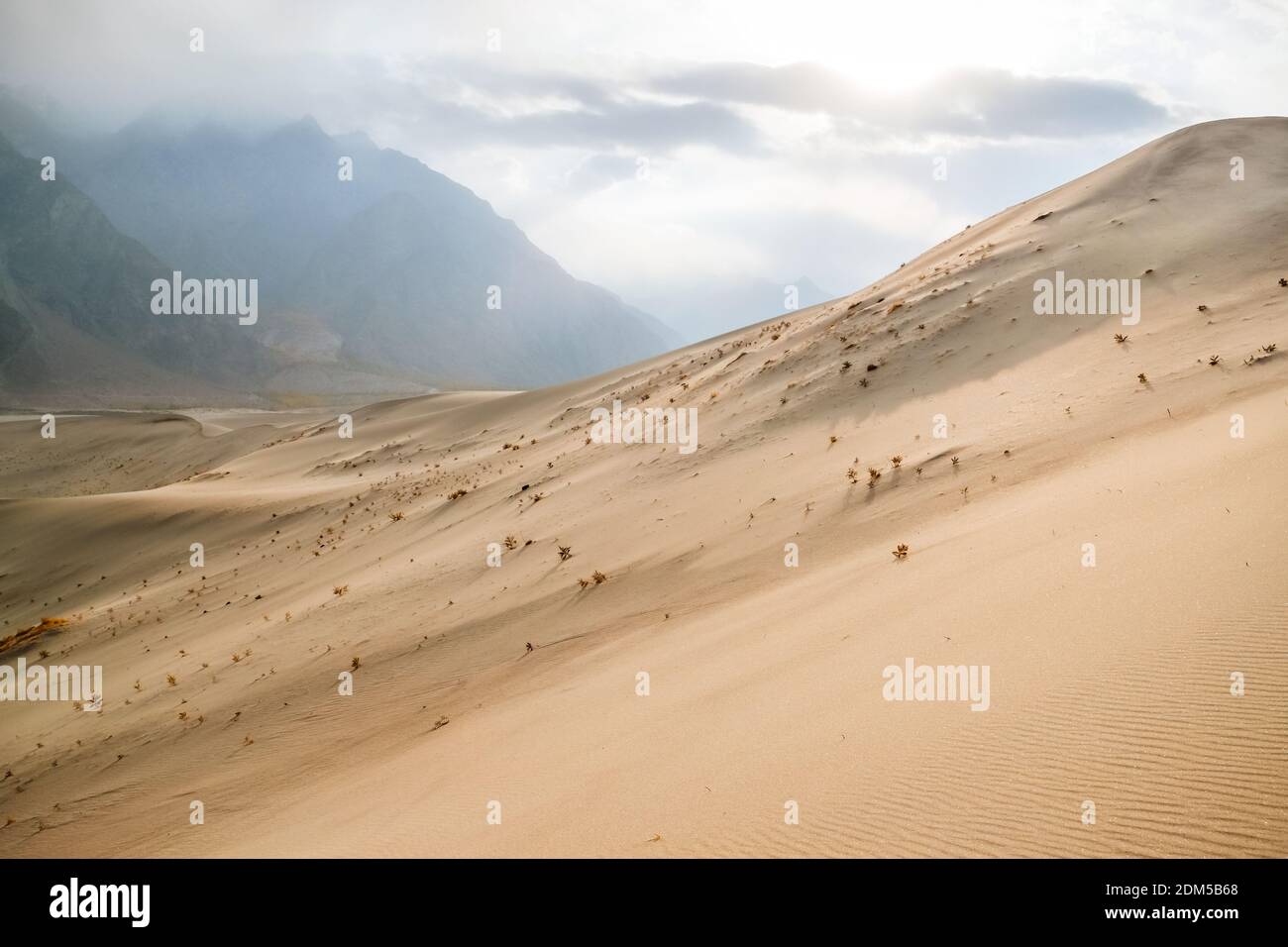 Cold desert pakistan hi-res stock photography and images - Alamy