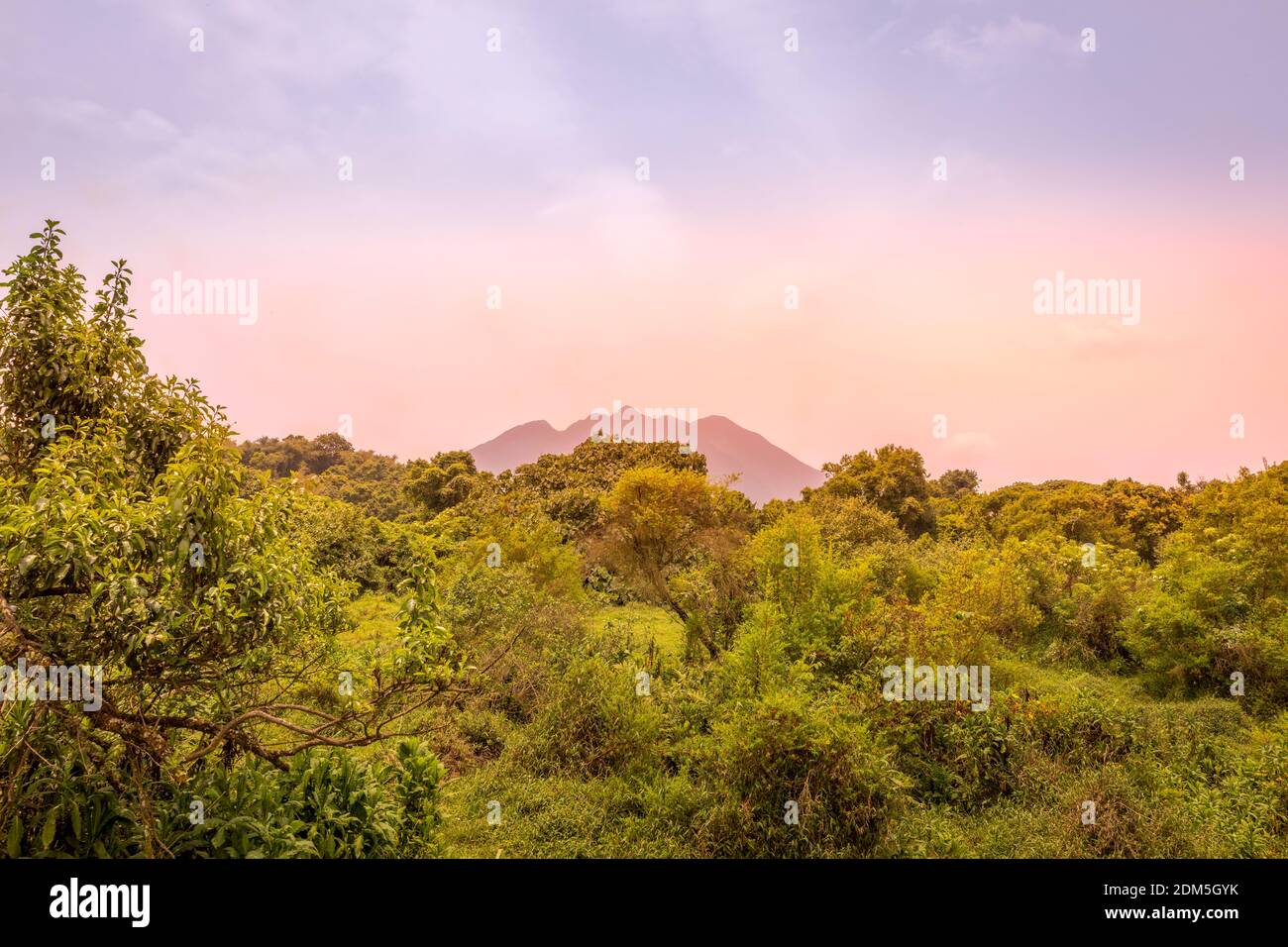 Virunga Volcanoes and Mgahinga Gorilla National Park from Kisoro in ...