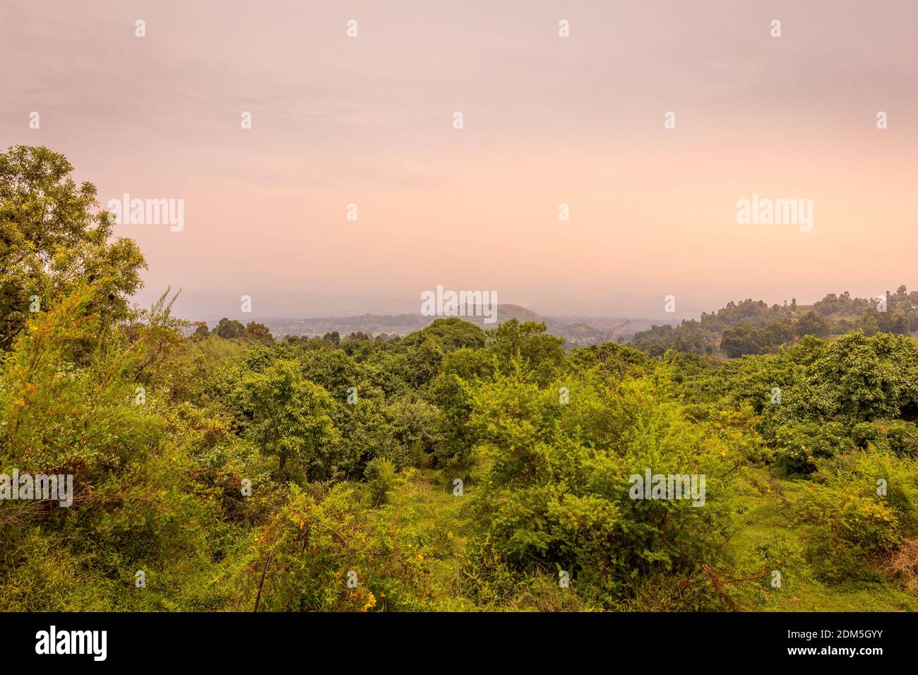 Virunga Volcanoes and Mgahinga Gorilla National Park from Kisoro in ...