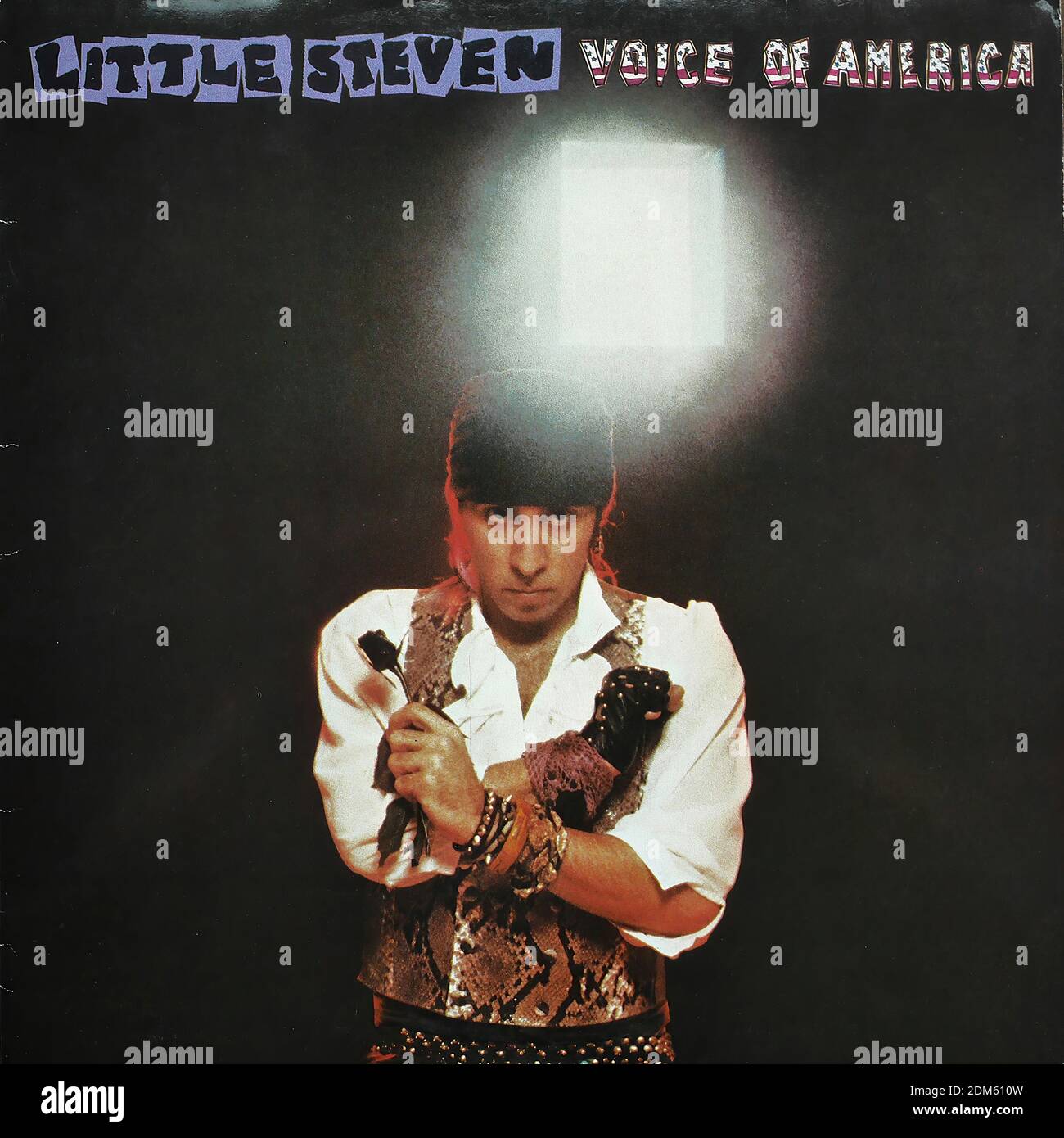 Little Steven - Voice Of America - Vintage vinyl album cover Stock ...