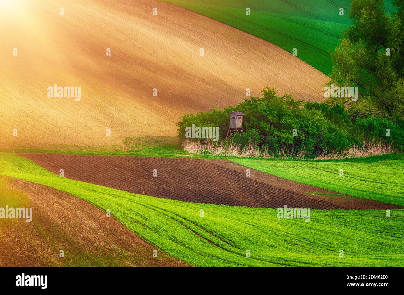 Rural landscape with green fields and trees, South Moravia, Czech ...
