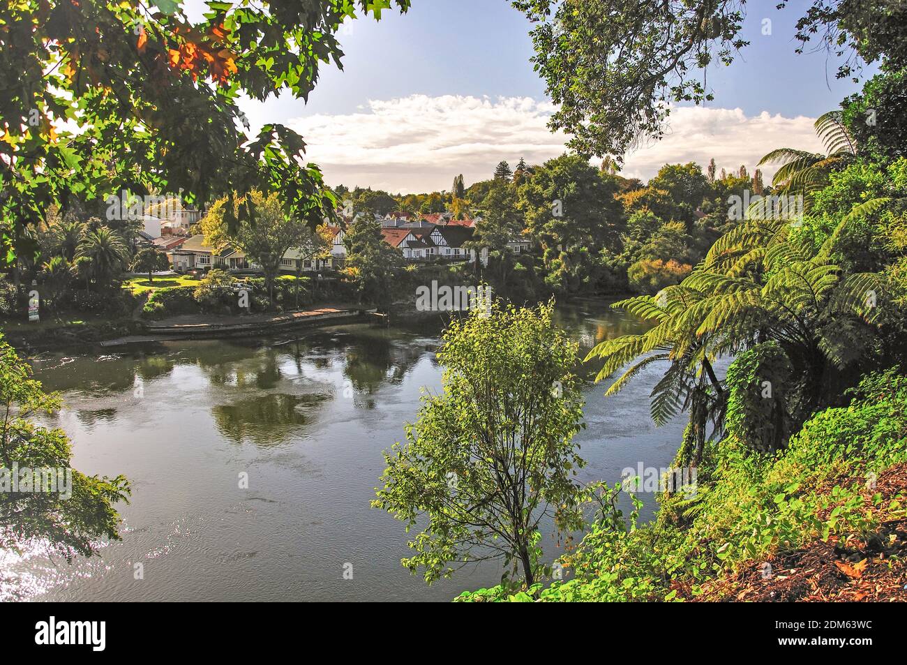 Hamilton River in autumn, Hamilton, Waikato Region, North Island, New ...