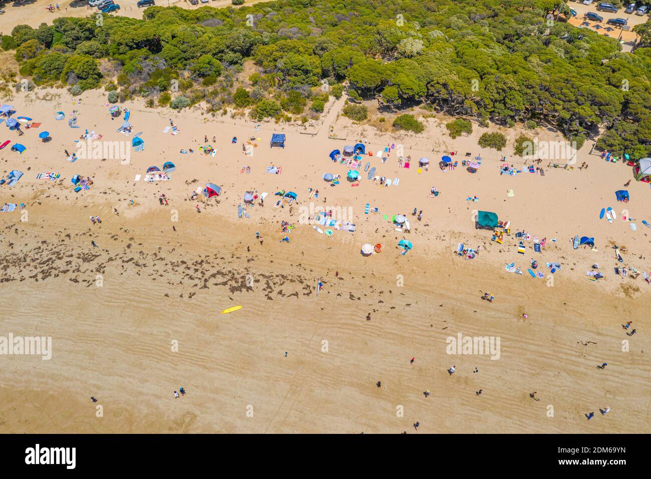 Anglesea beach people hi-res stock photography and images - Alamy