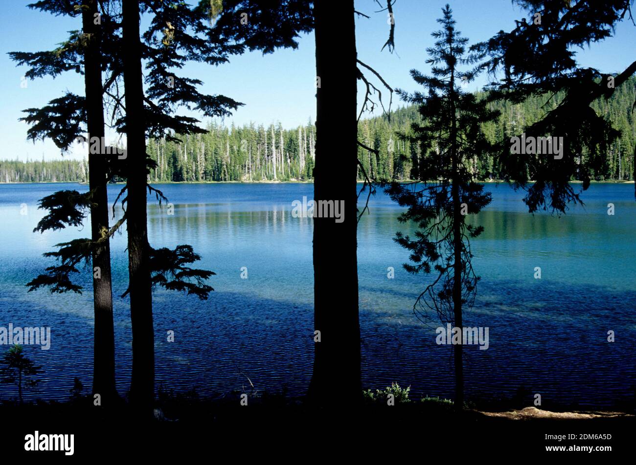 Bobby Lake, Deschutes National Forest, Oregon Stock Photo - Alamy