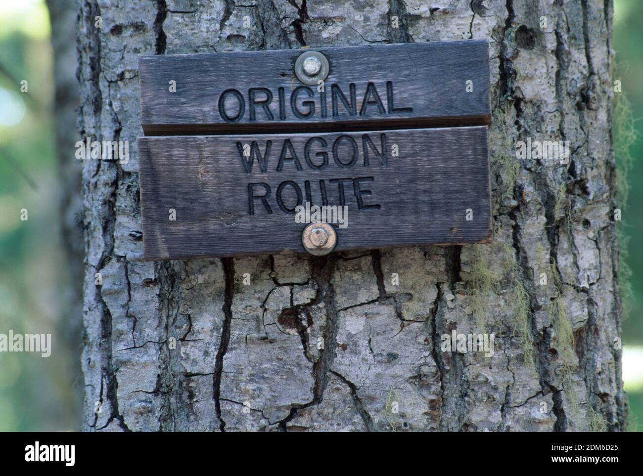 Barlow Road sign, Mt Hood National Forest, Oregon Stock Photo - Alamy