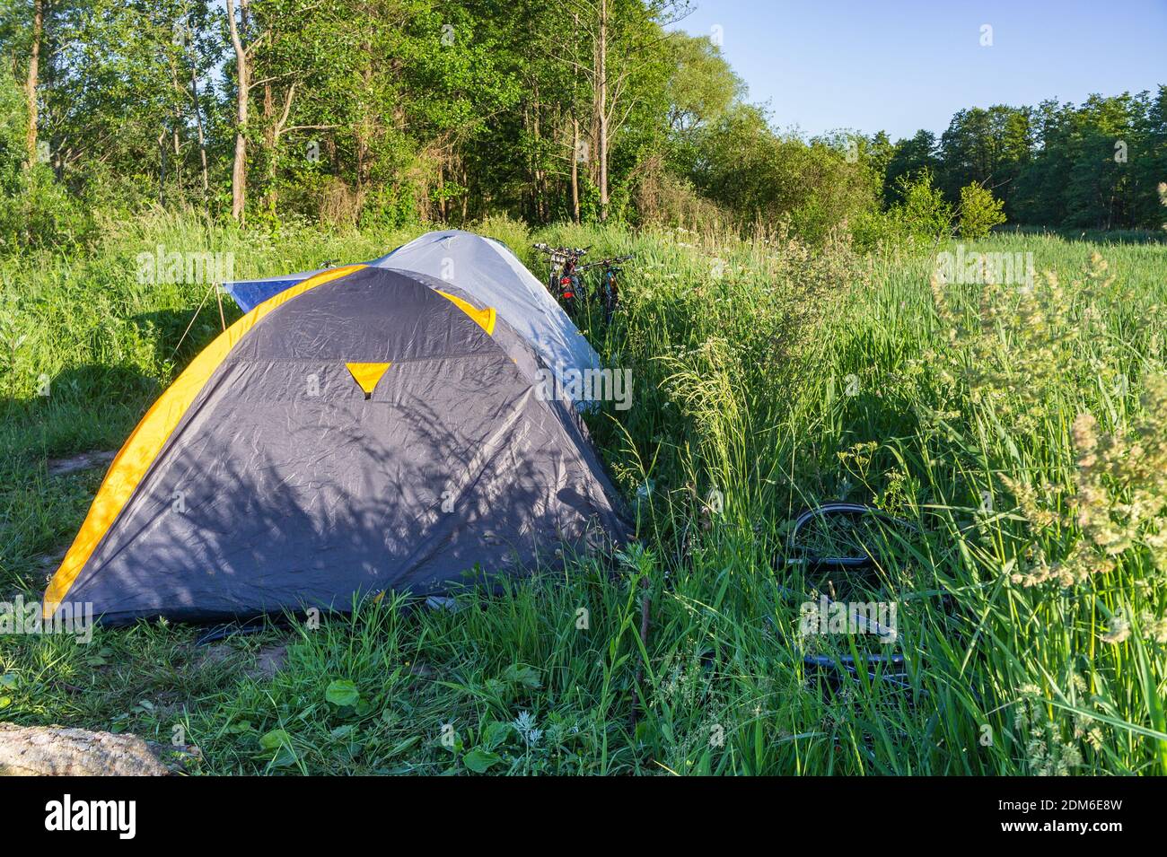 tourist camp in the swamp, camping tents in the wetlands Stock Photo ...