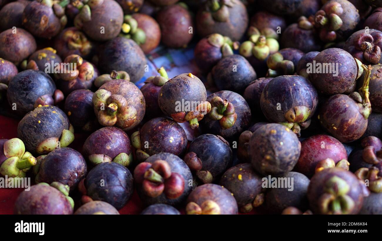 Queen of fruit hi-res stock photography and images - Alamy