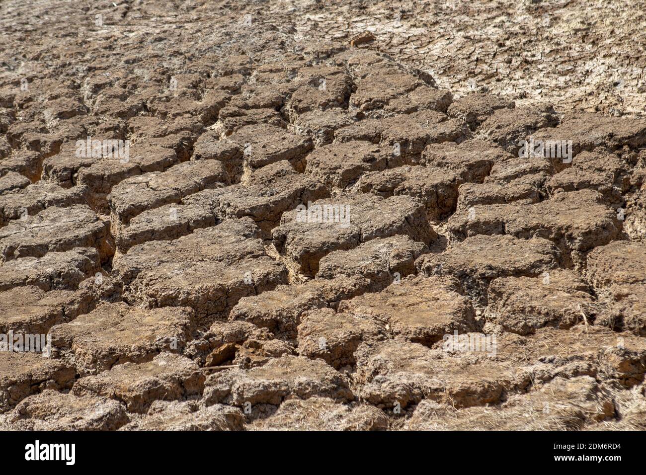 Barren land parched soil hi-res stock photography and images - Alamy