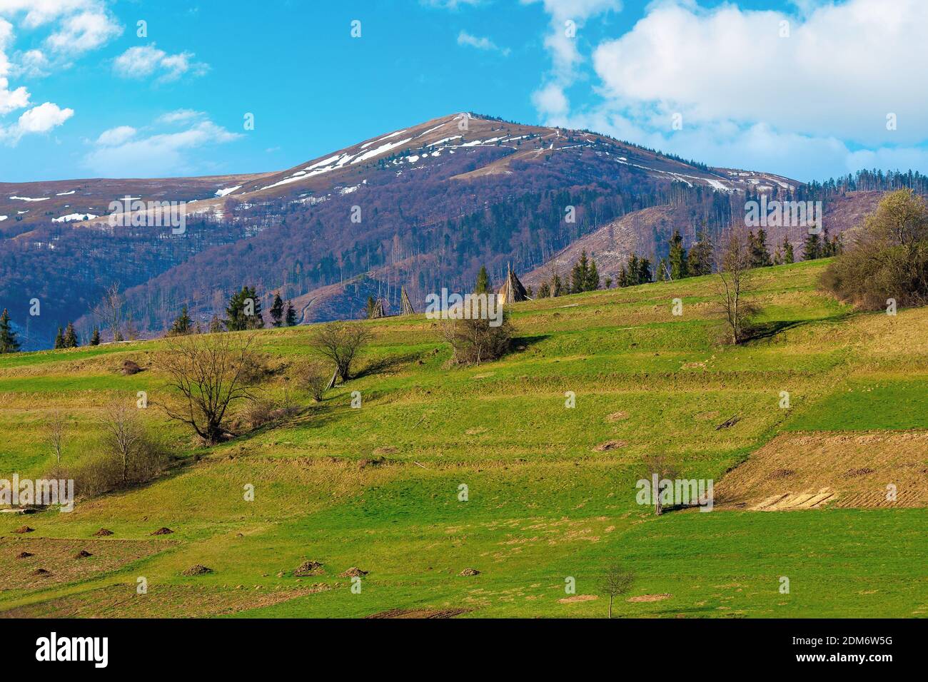 rural field on the hill in spring. snow capped mountain in the distance ...