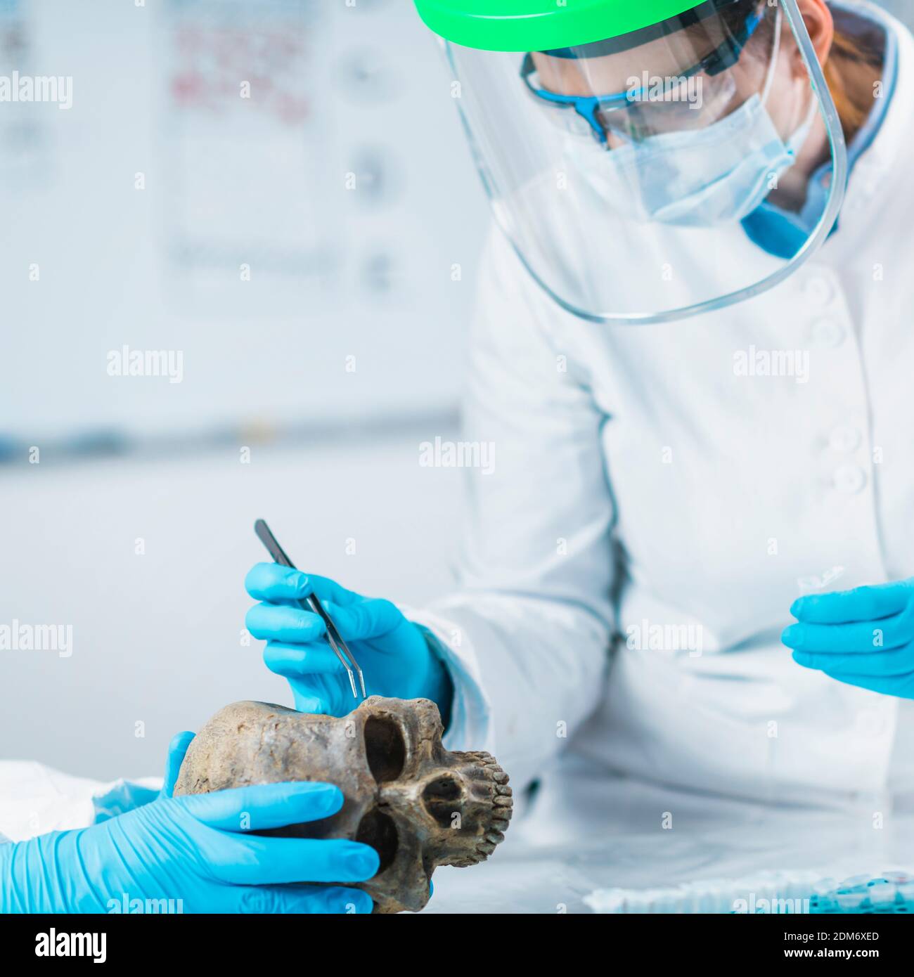 Skull in the doctors hand hi-res stock photography and images - Alamy