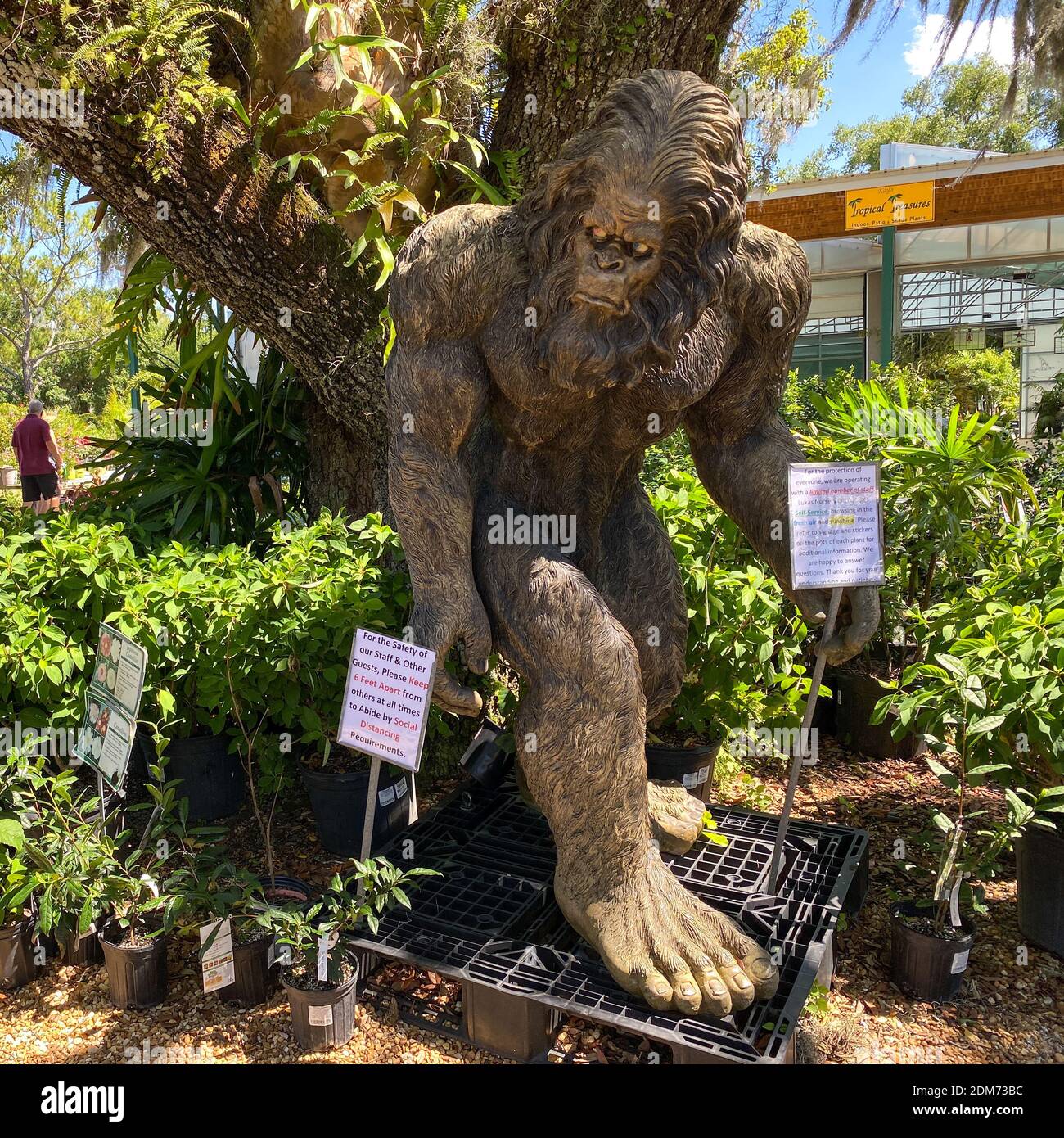 Bigfoot statue hi-res stock photography and images - Alamy