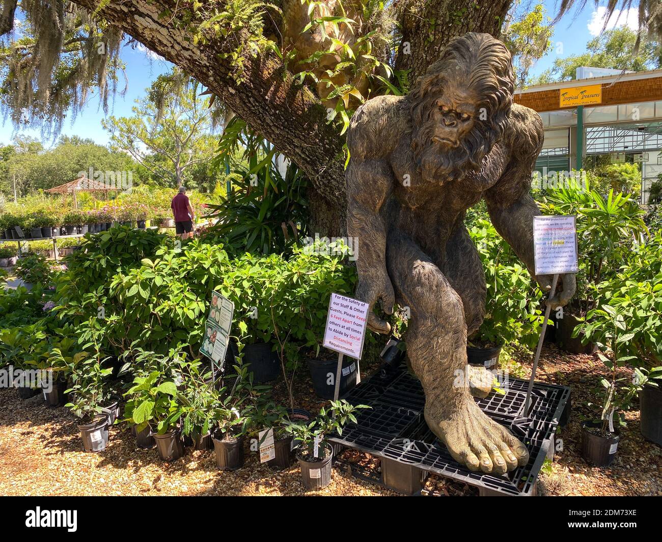 Orlando, FL USA - May 19, 2020: A wooden statue of bigfoot at a garden ...