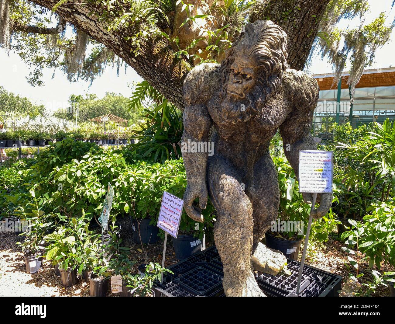 Orlando, FL USA - May 19, 2020: A wooden statue of bigfoot at a garden ...