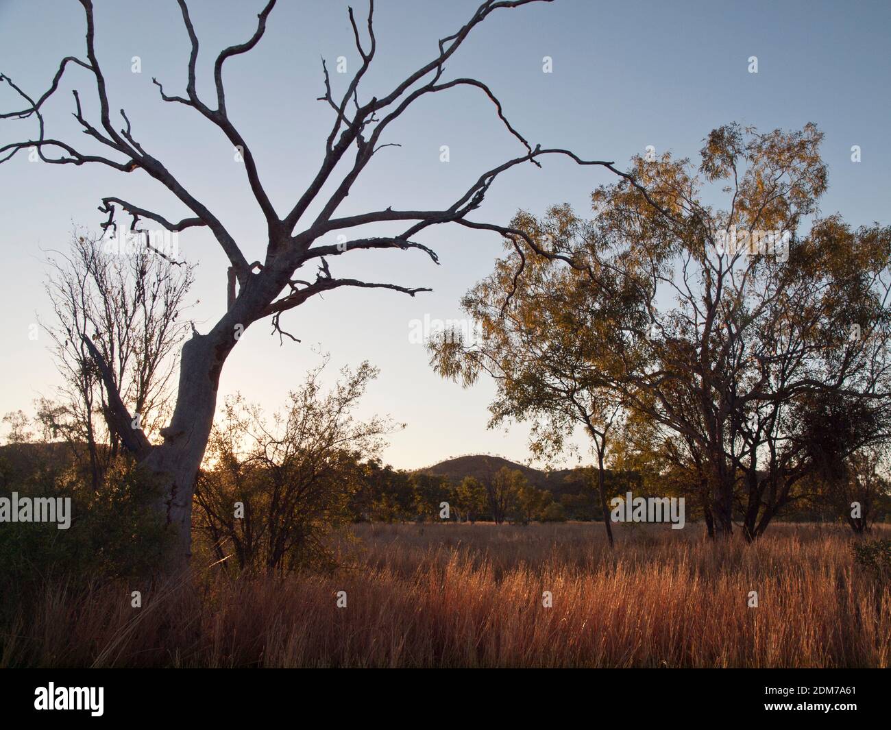 Australia outback grassland grass hi-res stock photography and images ...