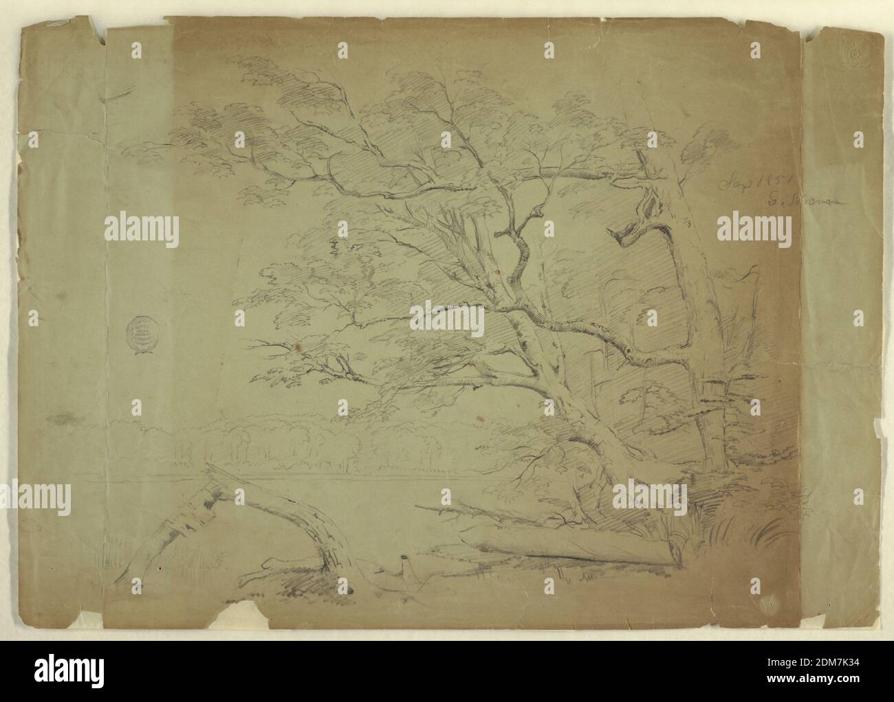 Landscape with Trees and a Stream [?], Grand Manan Island, Canada ...