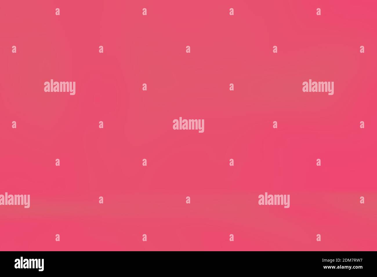 Photographic Pink Gradient Seamless studio backdrop Background Stock ...