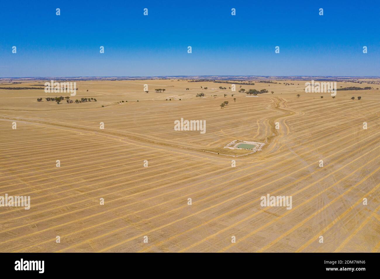 Rural landscape of Western Australia Stock Photo - Alamy