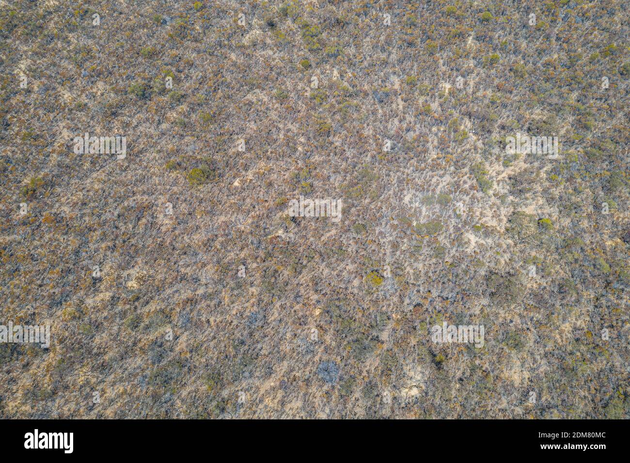 Aerial view of bush in Western australia Stock Photo - Alamy