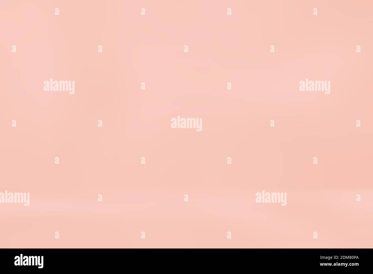 Photographic Pink Gradient Seamless studio backdrop Background Stock ...
