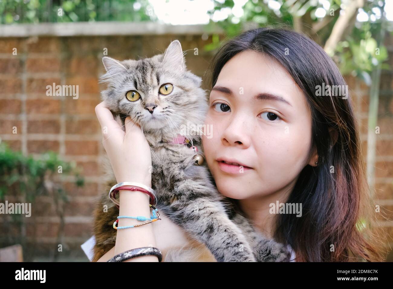 Indian girl with pet cat hi-res stock photography and images - Alamy