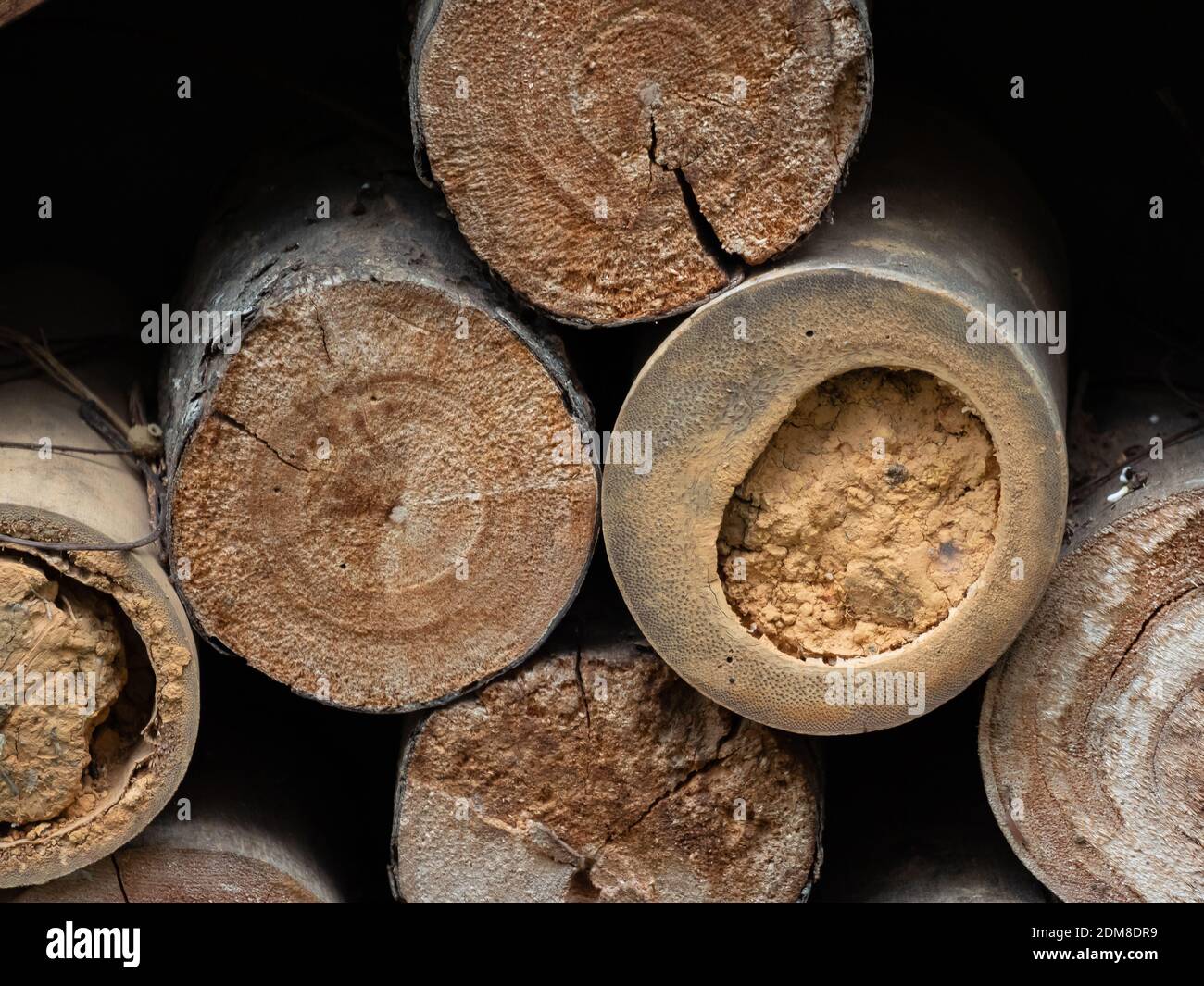Different Sizes of Stacked Logs Showing the Bark in Medellin, Colombia ...