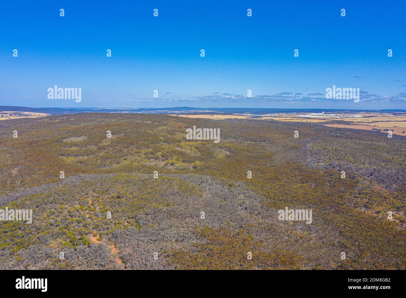 Aerial view of bush in Western australia Stock Photo - Alamy