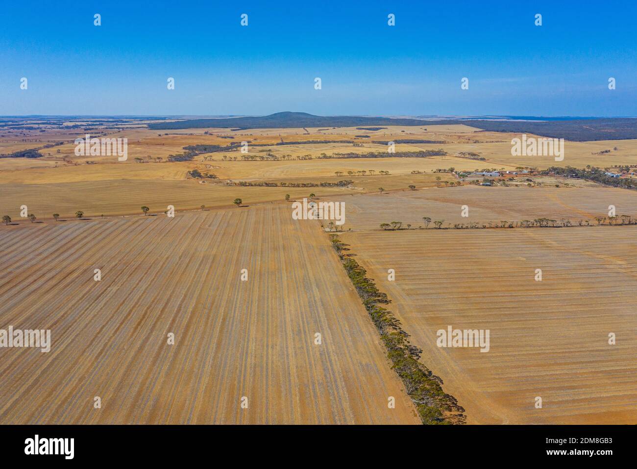Rural landscape of Western Australia Stock Photo - Alamy