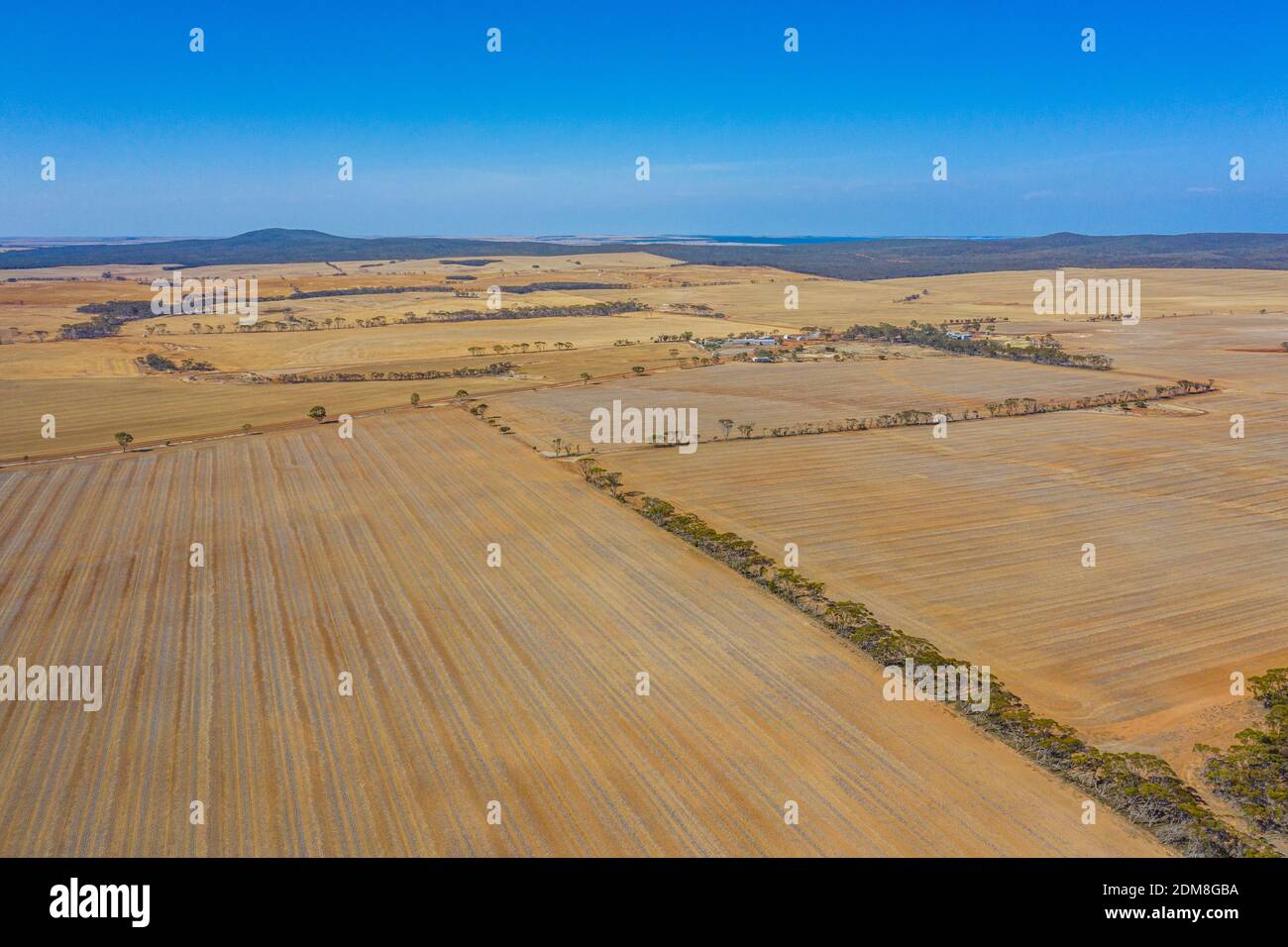 Rural landscape of Western Australia Stock Photo - Alamy