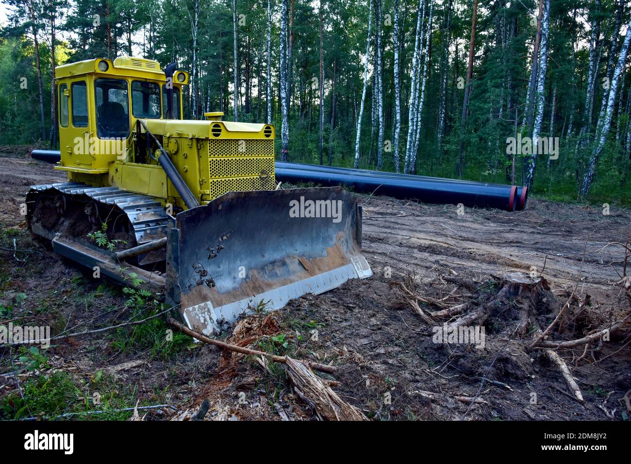 Dozer during earthwork for laying Crude oil and Natural gas pipeline in ...