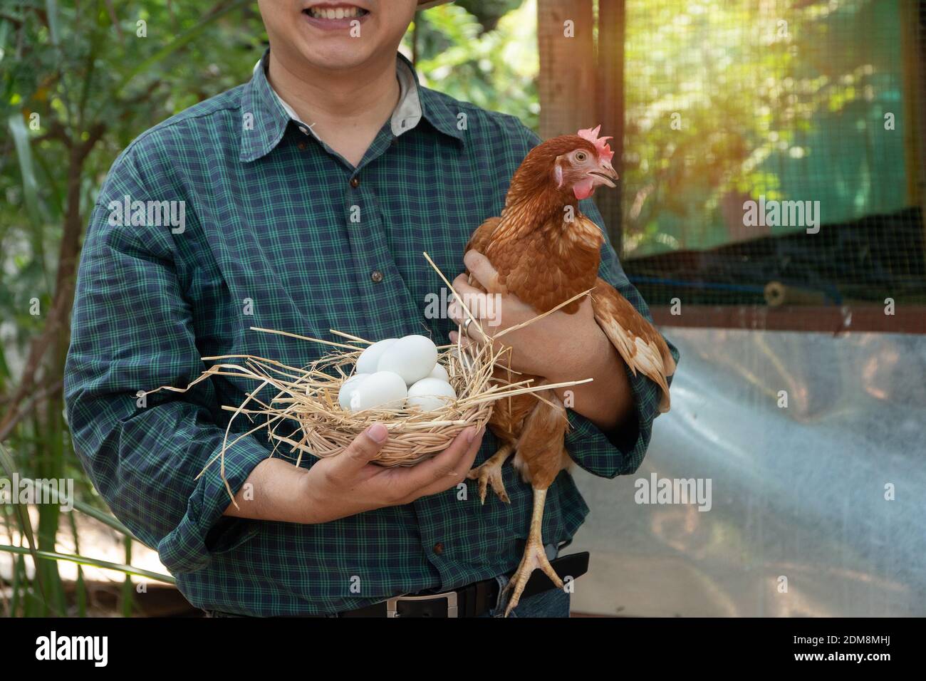 Man holding one chicken egg hi-res stock photography and images - Alamy